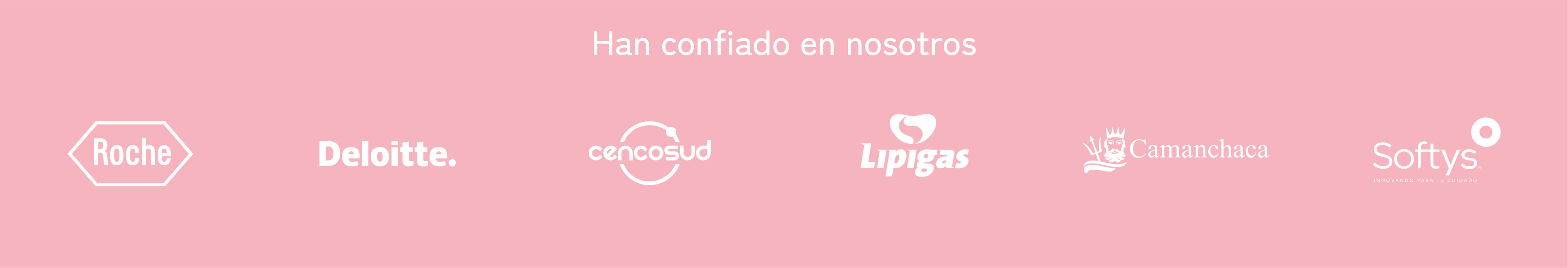 ¡palpa En Tu Empresa The Palpa Company